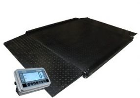 Balance inox professionnelle : pesée précise et fiable