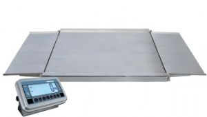 Balance inox professionnelle : pesée précise et fiable