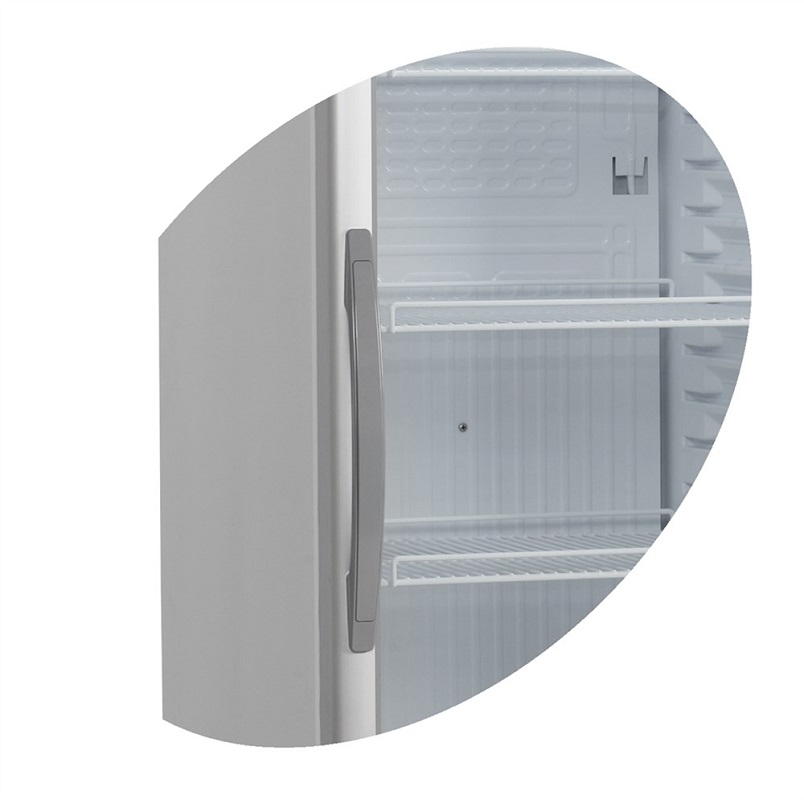 Réfrigérateur à Boissons professionnel - TEFCOLD - Frigo pro