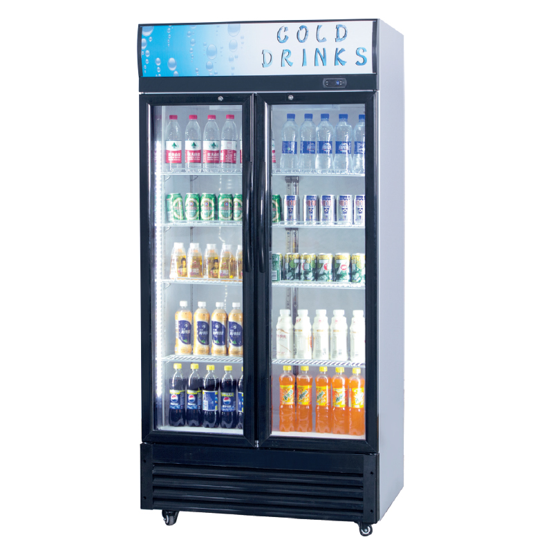 Vitrine à boisson 2 portes vitrées battantes 610 L - Restoconcept.com